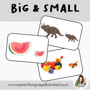 Products - Speech Language Illustrated