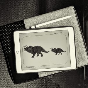 Products - Speech Language Illustrated